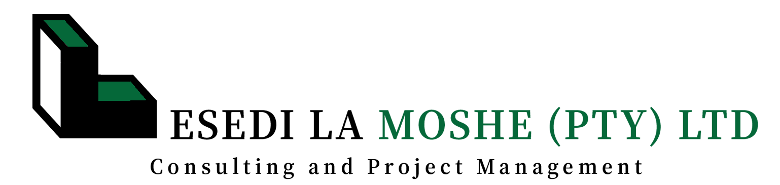 Lesedi La Moshe - Consulting & Project Management